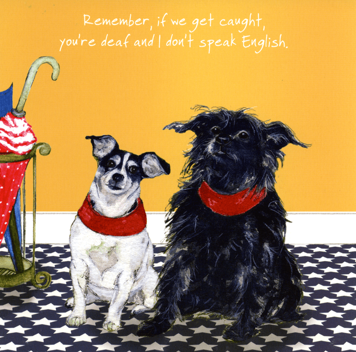 The Little Dog Laughed - Comedy Card Company