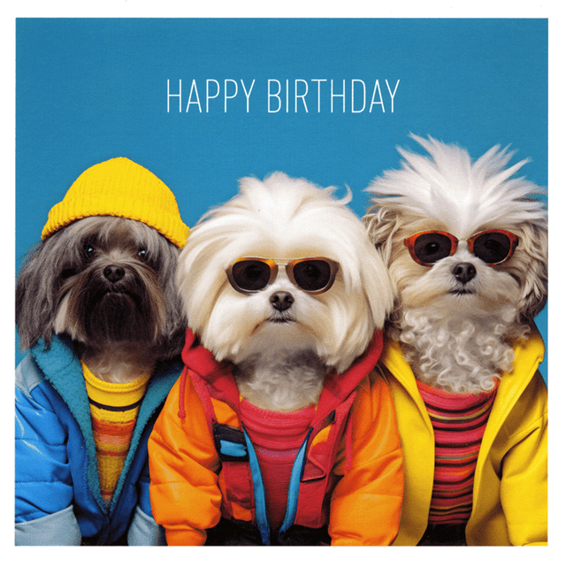Humorous card by Coola Coola - Dogs - Happy Birthday – Comedy Card Company