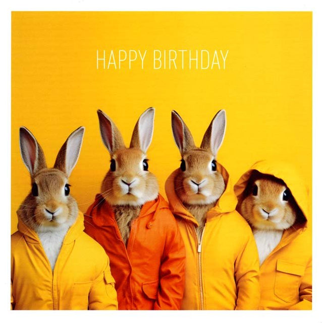 Humorous birthday card - Rabbits - Coola Coola – Comedy Card Company