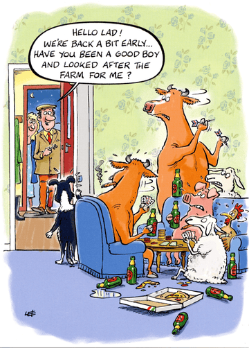 Funny cartoon card by Country Cards - Looked after farm – Comedy Card ...