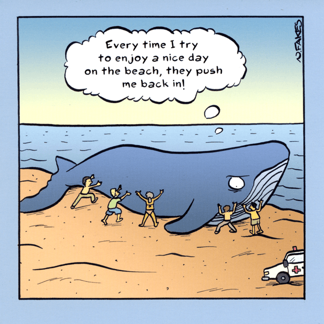 Humorous greeting card by Nate Fakes - Nice day on beach – Comedy Card ...