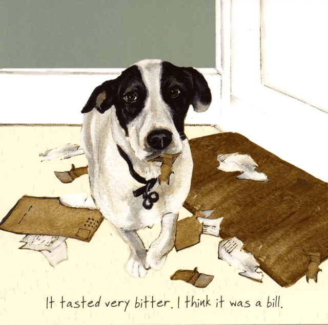 Products – Page 17 – Comedy Card Company