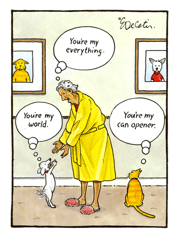 What's New! - Comedy Card Company – Page 3