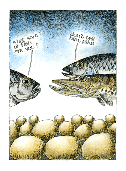 Funny Cards Simon Drew Don't tell him, Pike Comedy Card Company