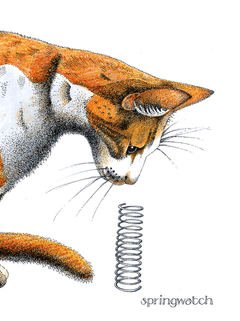 Simon Drew Cards - Comedy Card Company – Page 3