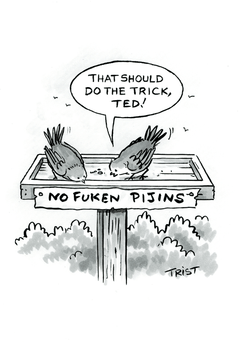 Funny cartoon card by Geoff Tristram - No Fuken Pijins – Comedy Card ...
